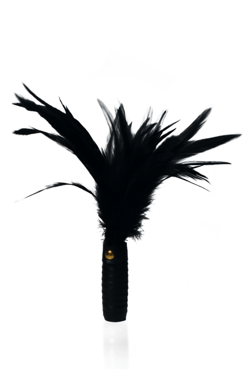 Black Leather Feather Tickler – Playful Promises