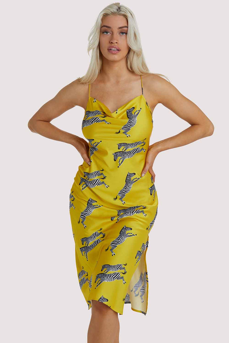 Mustard Zebra Dress – Playful Promises